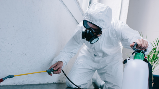 Pest Control Jackson Mi